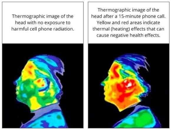 Scientists Have Finally Discovered A Safe, Reliable Way To Protect Us ...